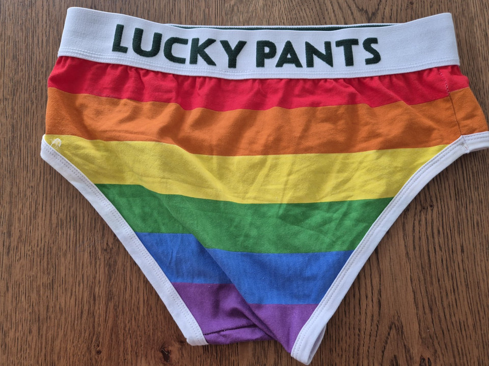 Paddy Power LGBT+ Rainbow Briefs Y Fronts one size 32-40" Waist | eBay UK