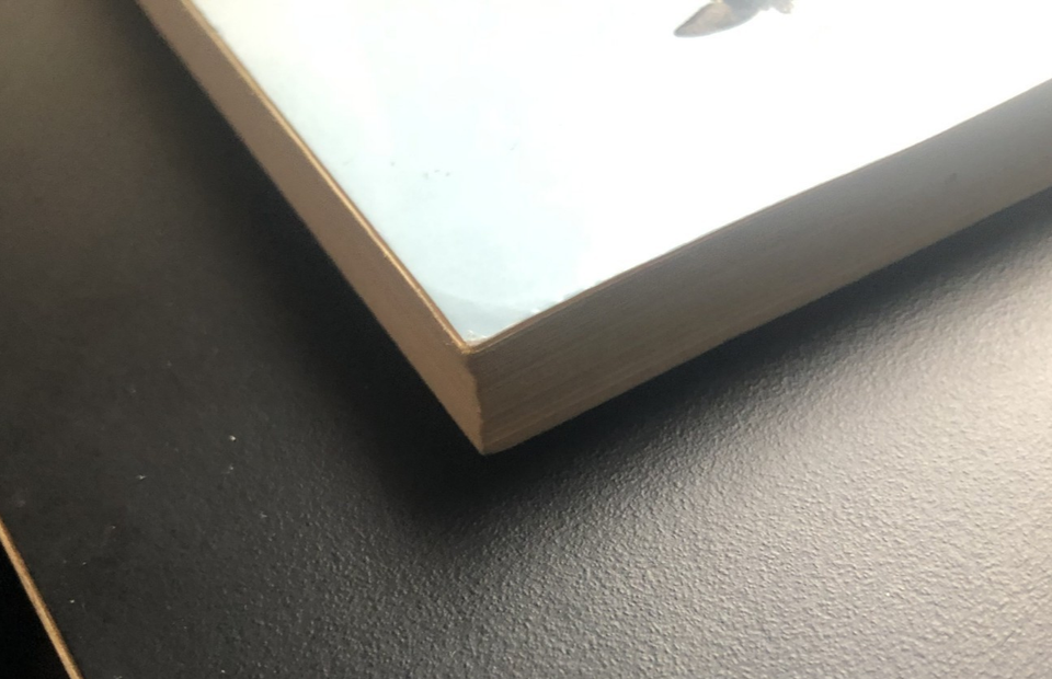 2 X Osho Books - Fear and Courage: The Joy of Living Dangerously ...