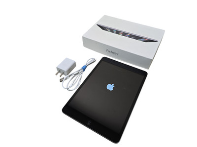 Apple iPad Mini A1432 Silver 16GB WiFi READ Reset & Tested | eBay
