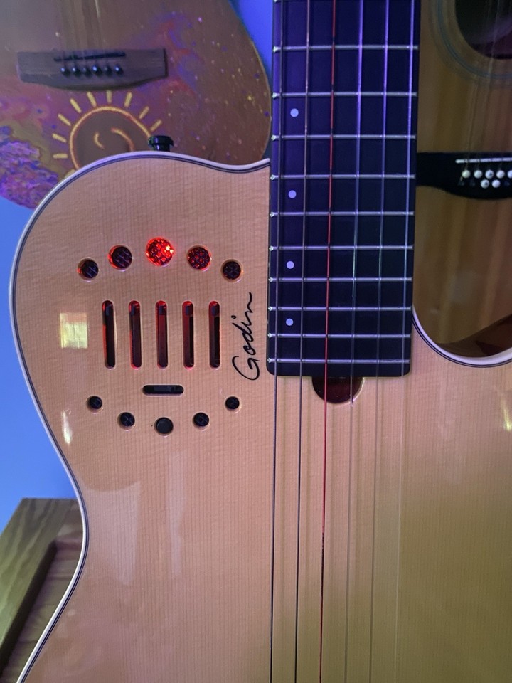 Godin Multiac Nylon Duet Ambience Natural *With Soft Case* SG 35045 | eBay