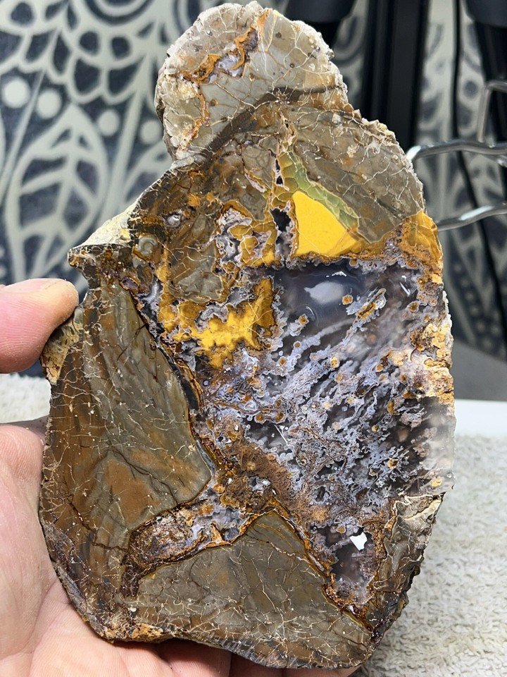 2lb 14oz Polished Canyon Rim Thunderegg Madras Oregon Agate | eBay