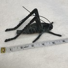 Vintage Cast Iron Insect Cricket Grasshopper Schistocerca Locust ...