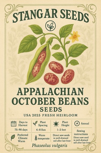 Appalachian October Beans Seeds Organic Heirloom Fresh 2026 | eBay