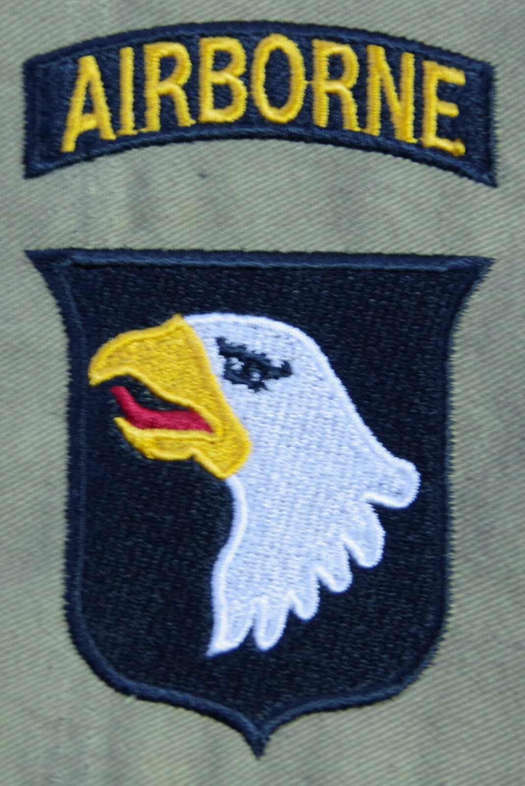 101st Airborne Paratrooper FE type 1 patch - Normandy - Miss Drop 44 | eBay