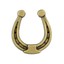 PinMart's Antique Gold Lucky Horseshoe Cowboy Western Lapel Pin | eBay