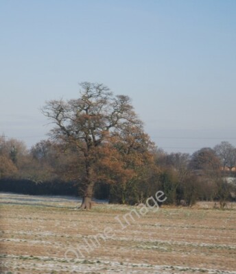 Photo 6x4 An autumnal tree near Armitage Mavesyn Ridware c2010 | eBay UK