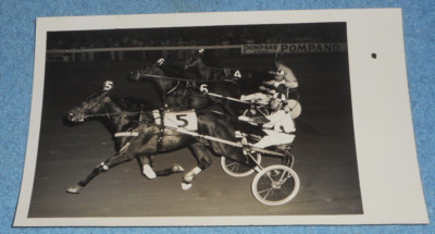 1970s Harness Racing Press Photo Horse "Thrilling Speed" Billy Herman ...