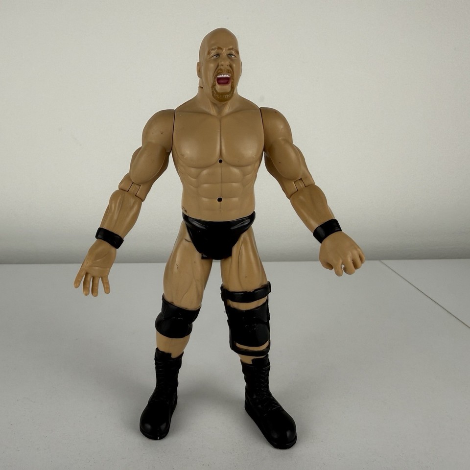 Stone Cold Steve Austin 2001 Figure & Chris Jericho 1999 Figures WWE ...