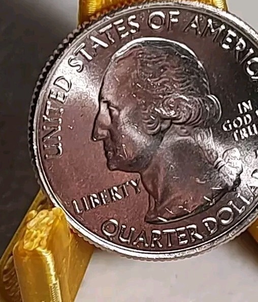 2020 P American Samoa Bats Roll 40 Gem Quarters $10 Face Value W/1 ...