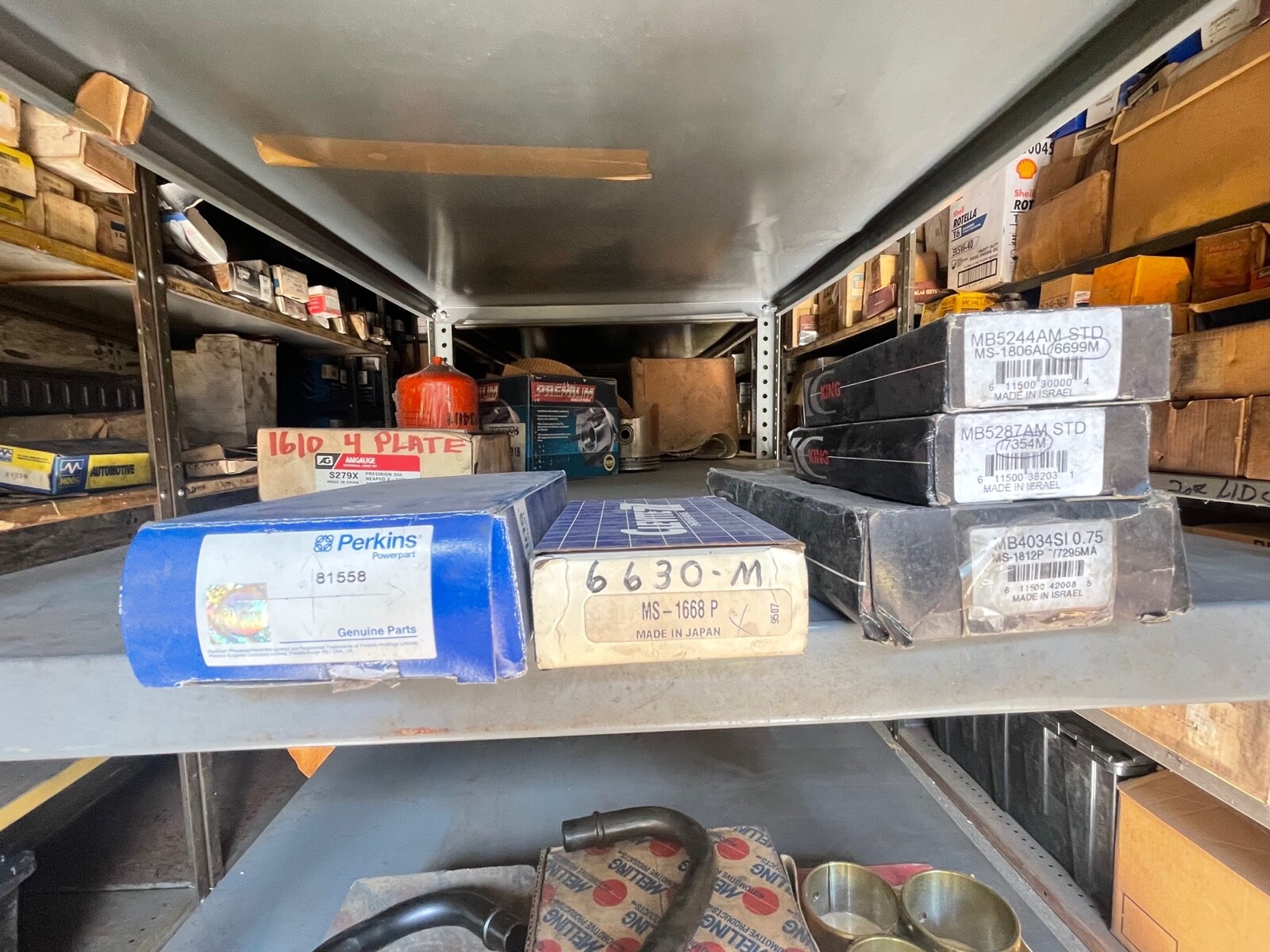 Perkins Main Bearing set 81558 for sale online | eBay