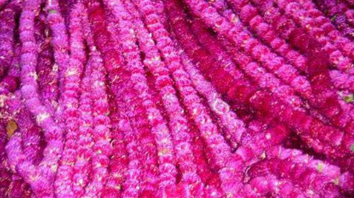 Makhamali Bhai Tika Mala Special Deepawali mala tihar celebrations (2 ...