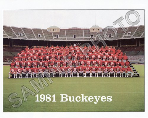 1981 OHIO STATE BUCKEYES FOOTBALL 8X10 TEAM PHOTO | eBay