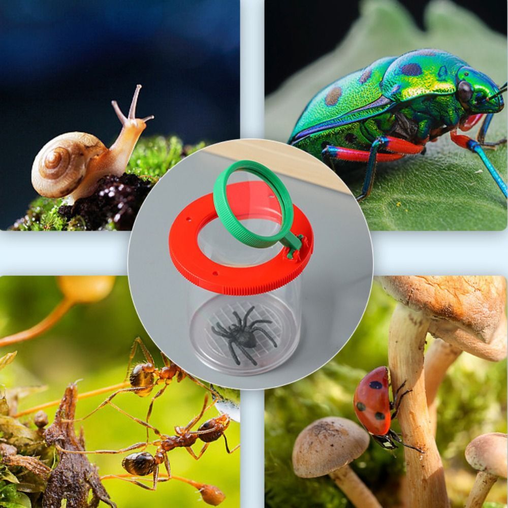 Hand-held Insect Magnifying Glass Reptile Spider Observer | eBay