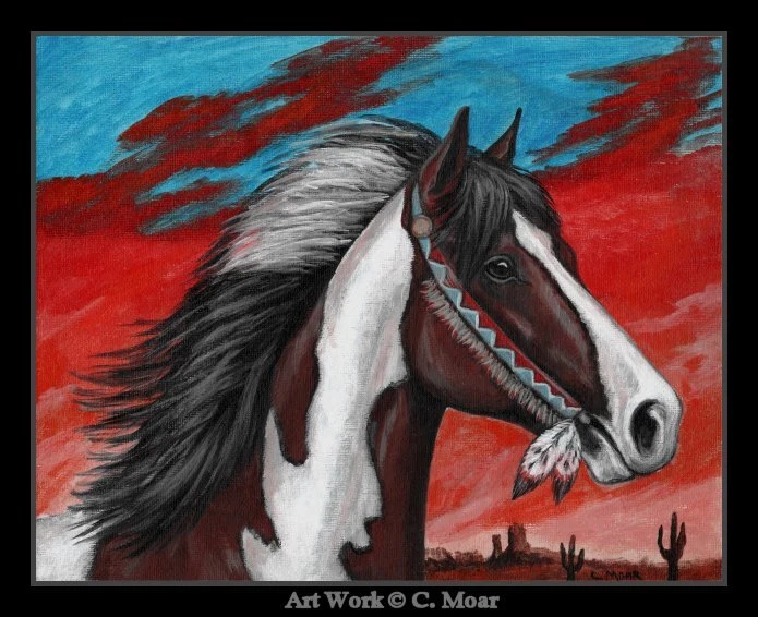 Pinto Horse Drawing