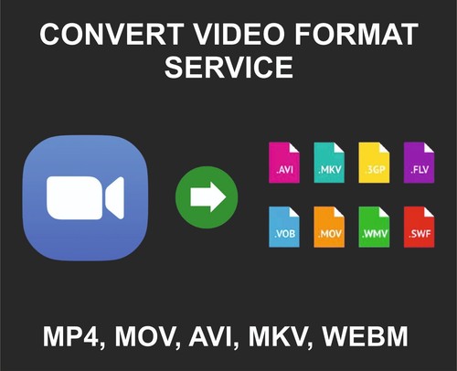 Convert Video To Other Video Formats, MP4, AVI, WMV, MKV, MOV, FLV, VOB ...