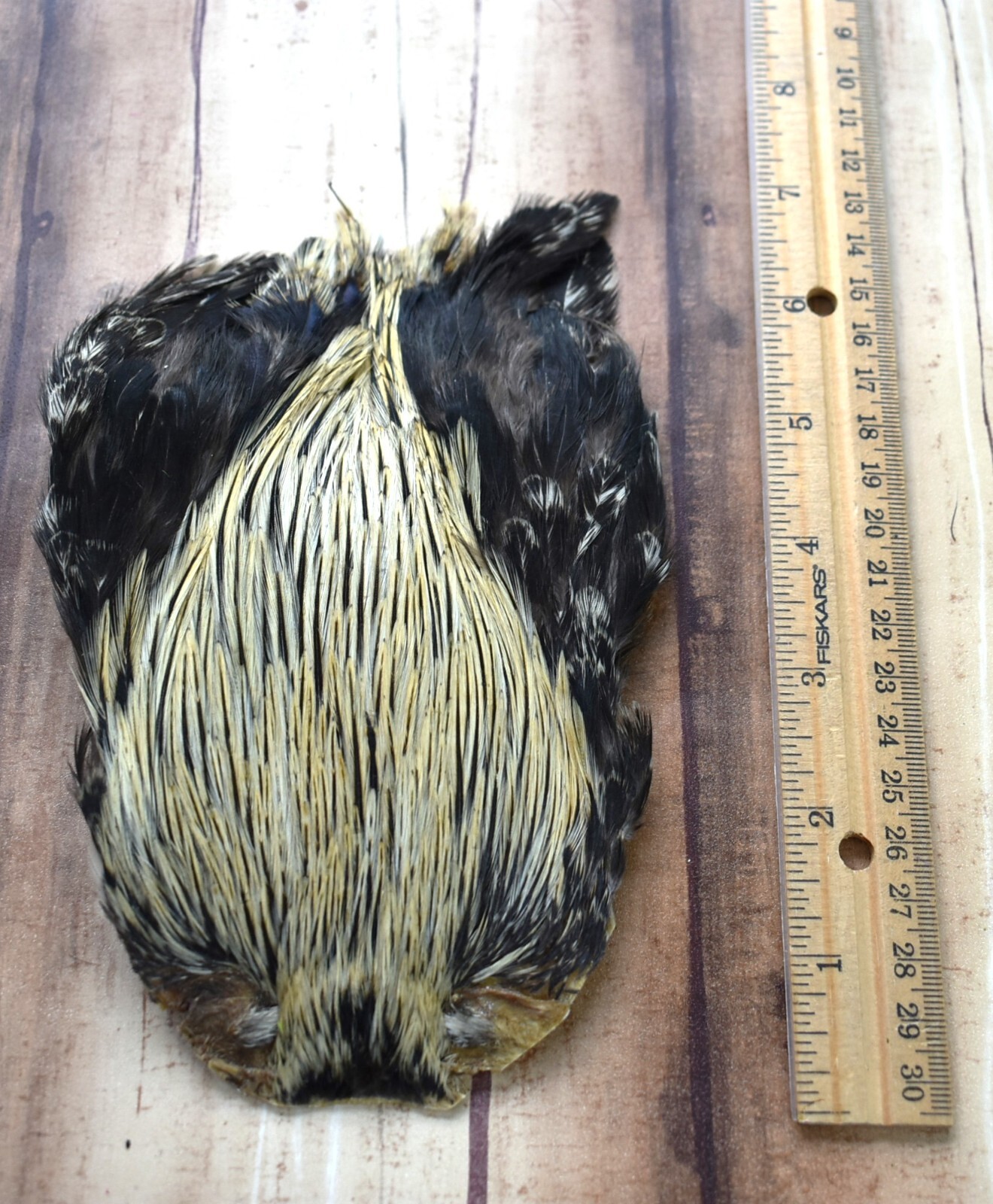 Lot 252, Natural India Rooster Streamer Neck Cape Feathers | eBay