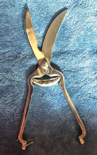 ANGESA CHICKEN SECATEURS POULTRY SHEARS with SPRING, MADE IN ITALY NEW ...