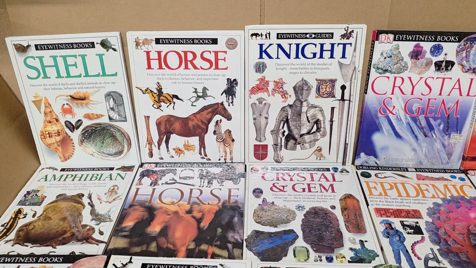 Lot of 5 DK Eyewitness Books Science History Art Animals Homeschool ...