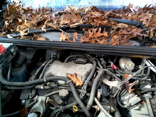 Engine 3.4L VIN E 8th Digit Fits 00-02 ALERO 3233832 | eBay