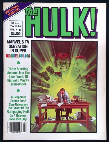 THE HULK! #19 ~ VG/FN 1980 MARVEL COMICS MAGAZINE ~ WALTER VELEZ COVER ...