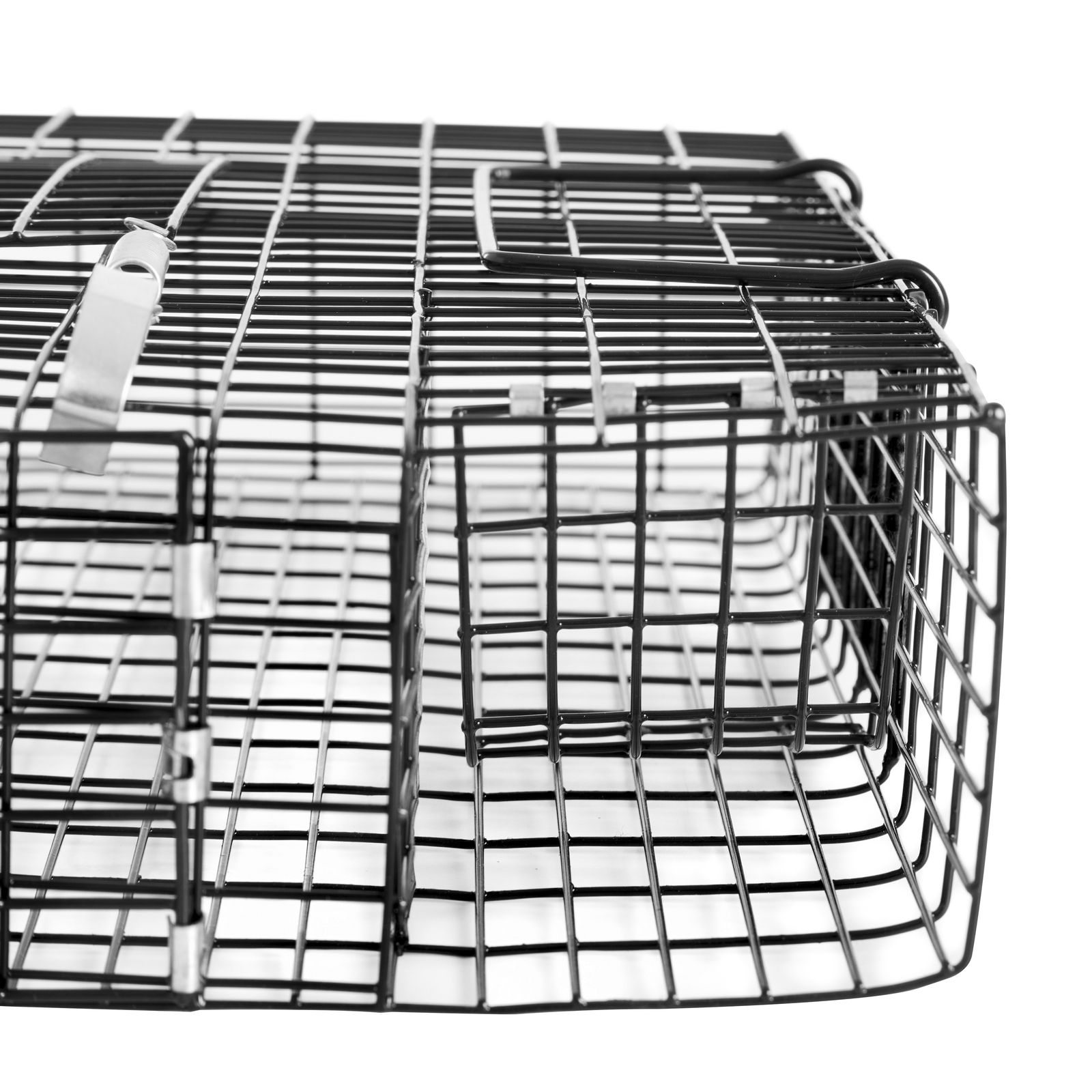 Rugged Ranch CHPTO The Chipmunkinator Chipmunk Cage Live Trap for sale ...