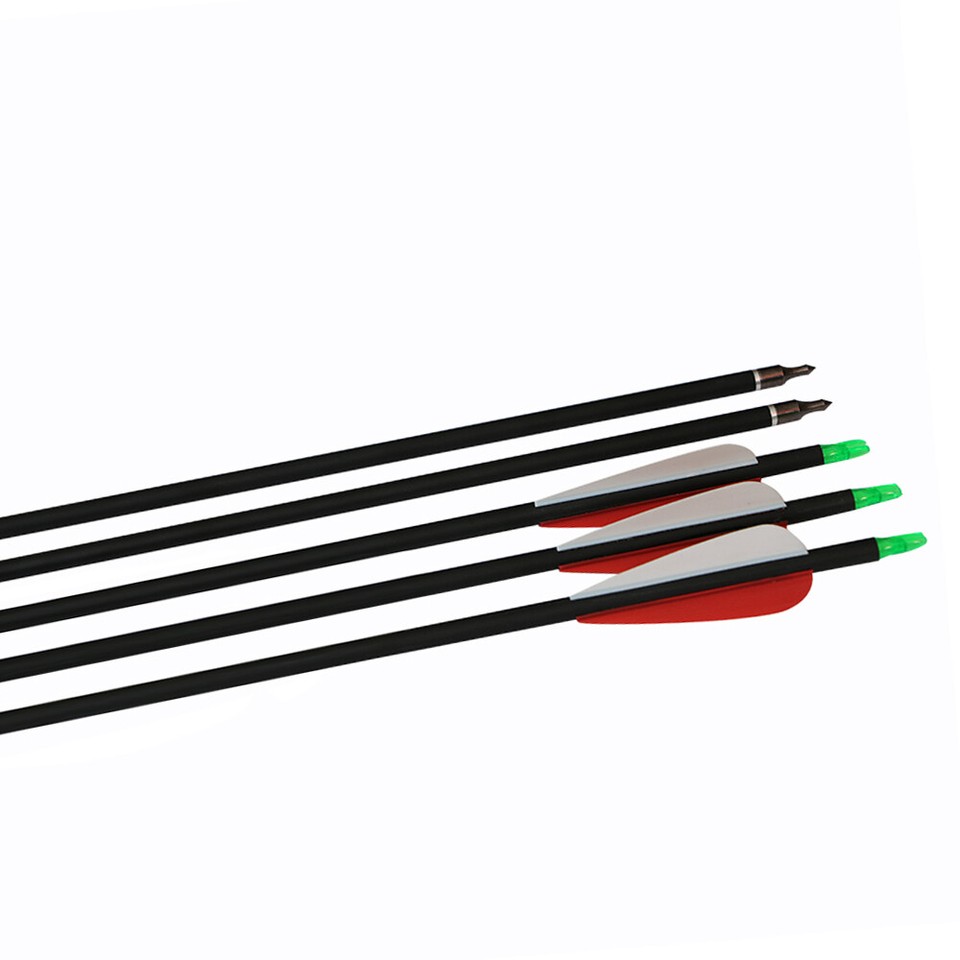Archery 30" Carbon Arrows Practice & Hunting Arrowheads for Compound ...