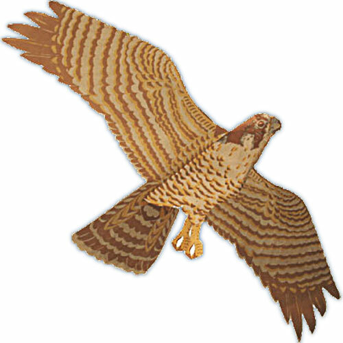Jackite Peregrine Falcon Kite / Windsock | eBay
