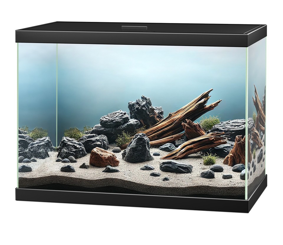 Ciano Aqua 15 Aquarium Black White 13 litre Starter Fish Tank Filter ...