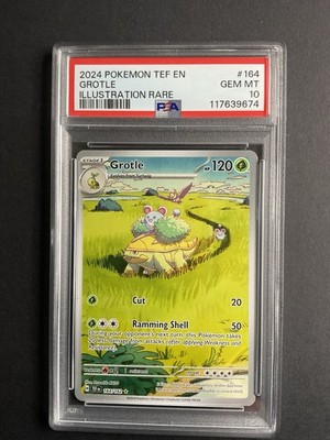 Grotle 164 PSA 10 2024 Pokémon TEF EN Illustration Rare | eBay