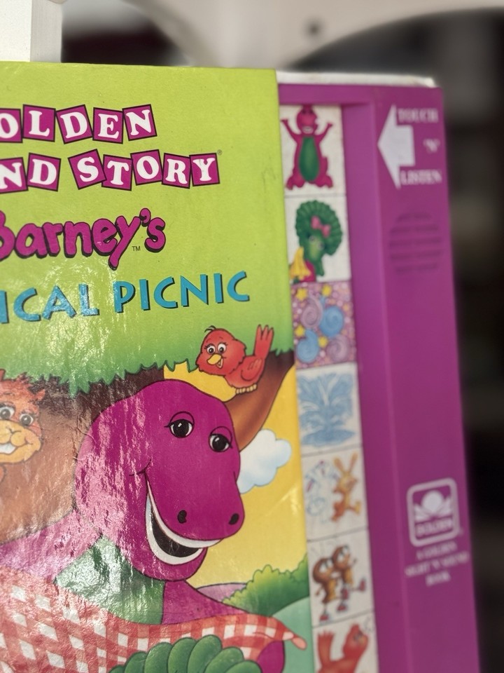 Barney’s Magical Picnic Golden Sound Story Book 1993 Vintage | eBay