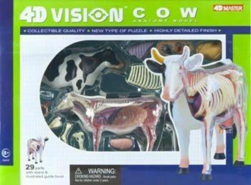 TEDCO 4d Vision Cow Anatomy Model Ages 8 26100 for sale online | eBay