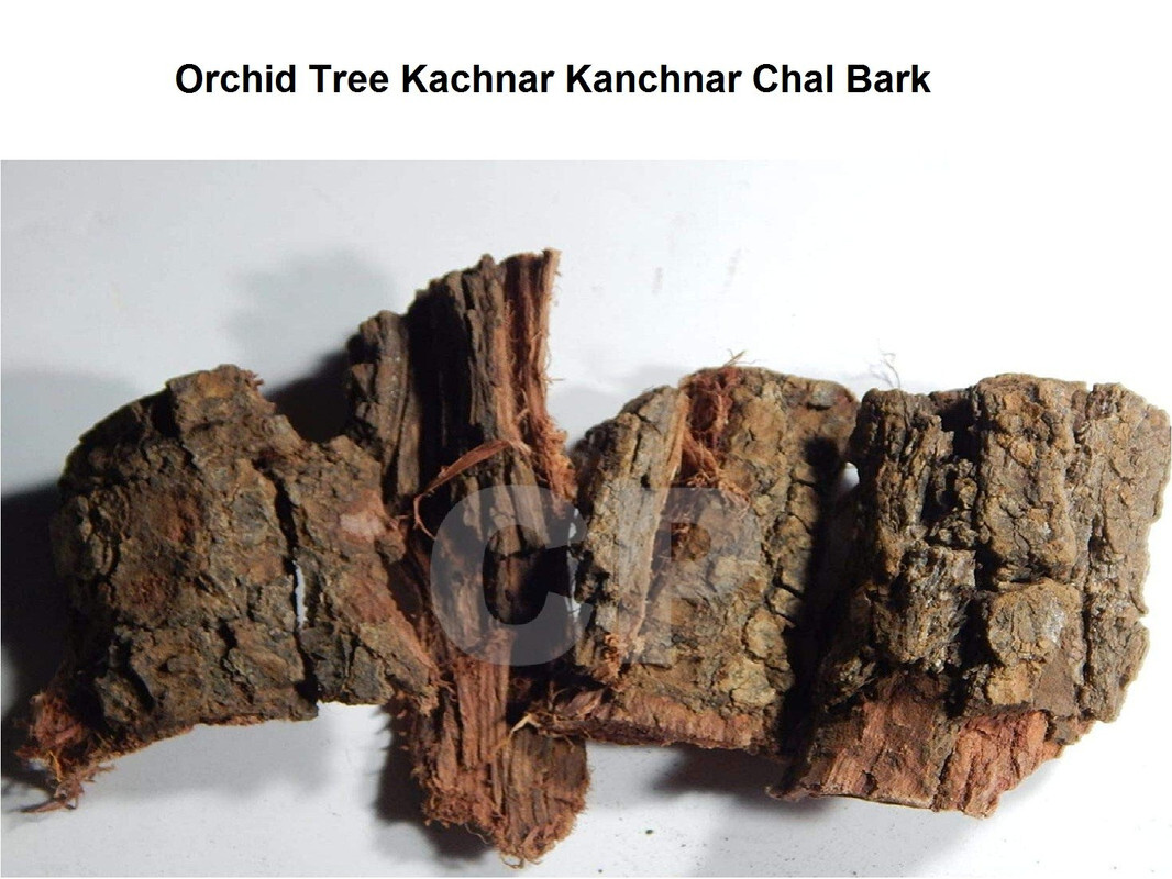 Bauhinia Variegata Orchid Tree Kanchnar Chal Bark- Raw Herb 50gm (1.7 ...