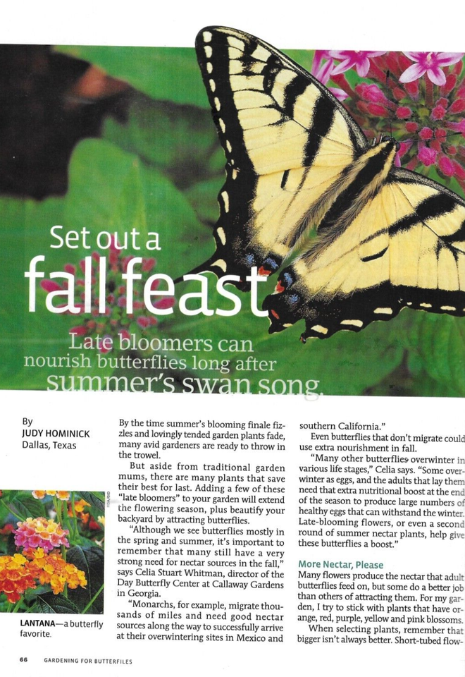 Gardening For Birds And Butterflies Magazine Colorful Plants ...