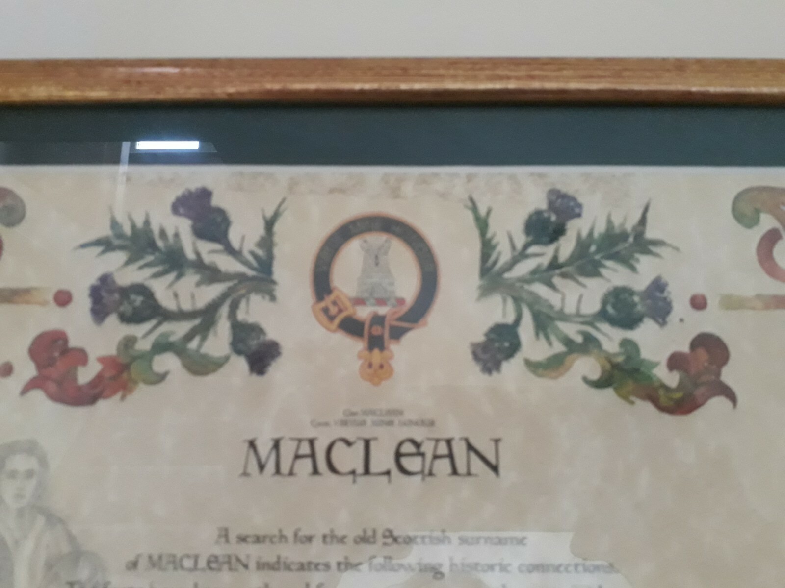 Maclean, the meaning & history of the Maclean Clan name & Tartan ...