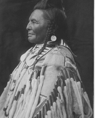 Chief Shot In Hand Native American Indian 8 x 10 Photo Vintage | eBay