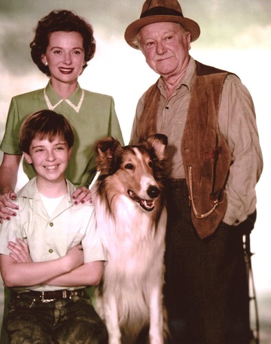 Lassie Tommy Rettig Jan Clayton 8x10 Picture Celebrity Print | eBay
