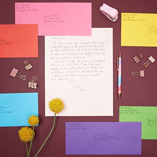 120-Pack #10 Business Mailing Colorful Envelopes in 6 Assorted Colors ...