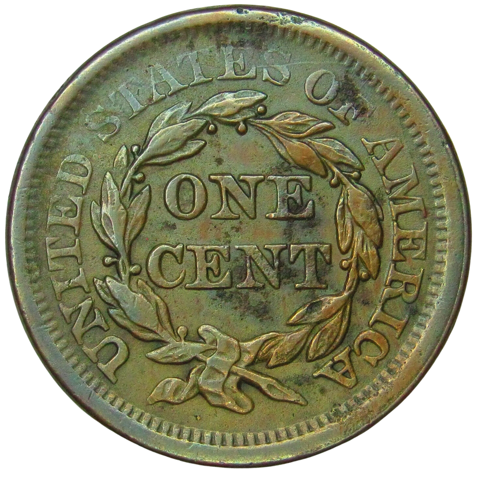1856 Slanted 5 Braided Hair Large Cent N-3(g) Obverse Rim Cud Copper 1c ...