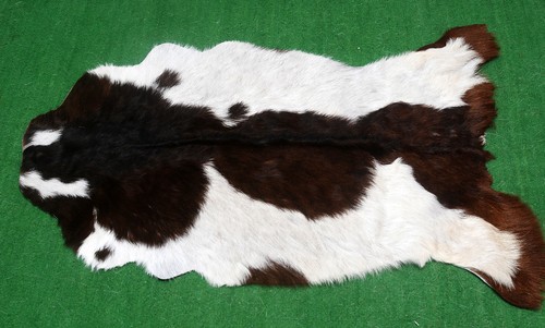 GOAT Western taxidermy Hide Rug Natural Pattern Fur Goat Hide Rode SA ...