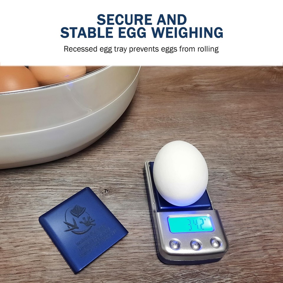 Digital Egg Scale-Egg Size Scale with Blue Backlit LCD Display-Egg ...