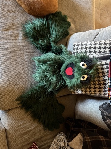 Green Sesame Street Style Puppet Hand Puppet | eBay
