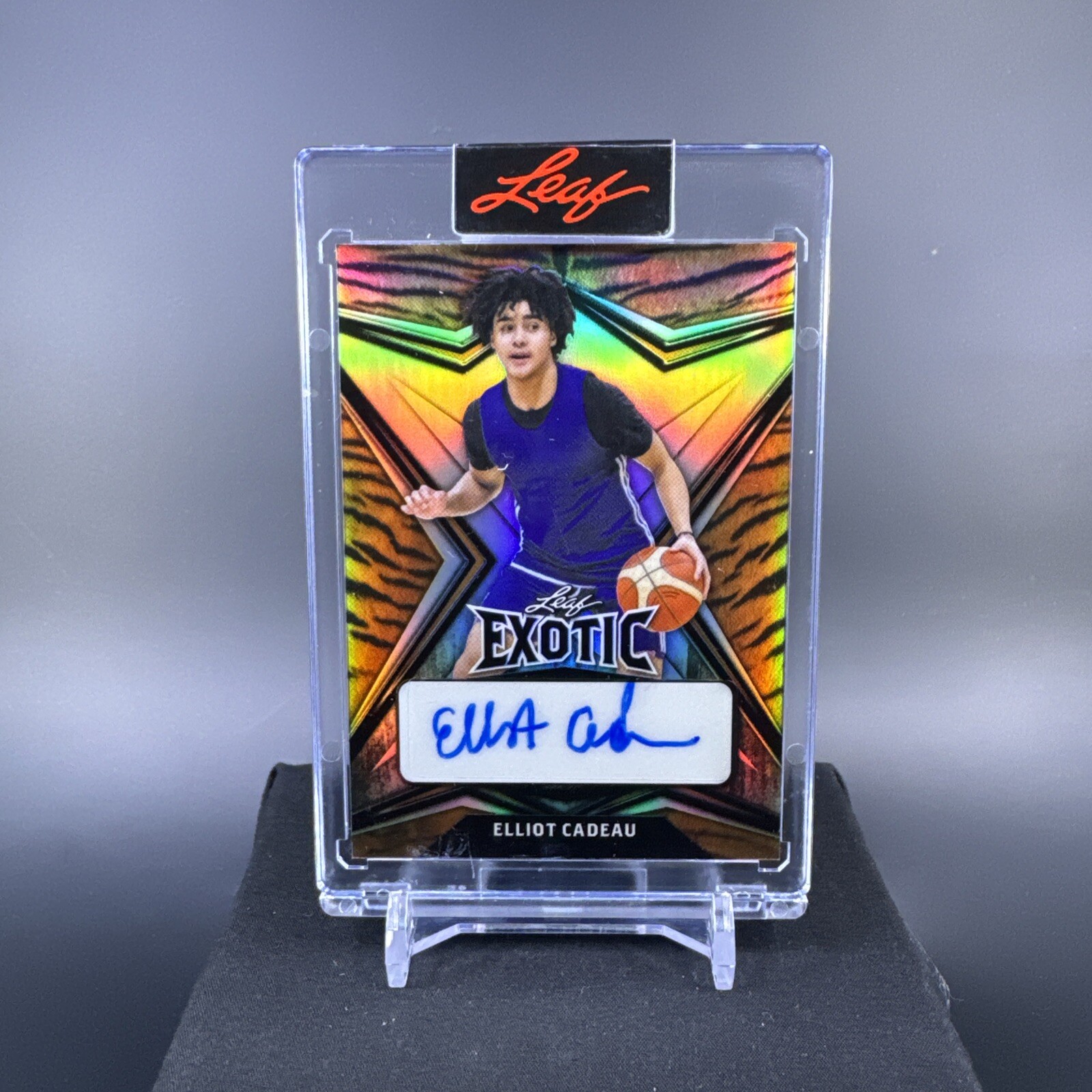 ELLIOT CADEAU #'d 7/15 Auto - 2022 2023 Leaf Exotic Autograph - TIGER ...