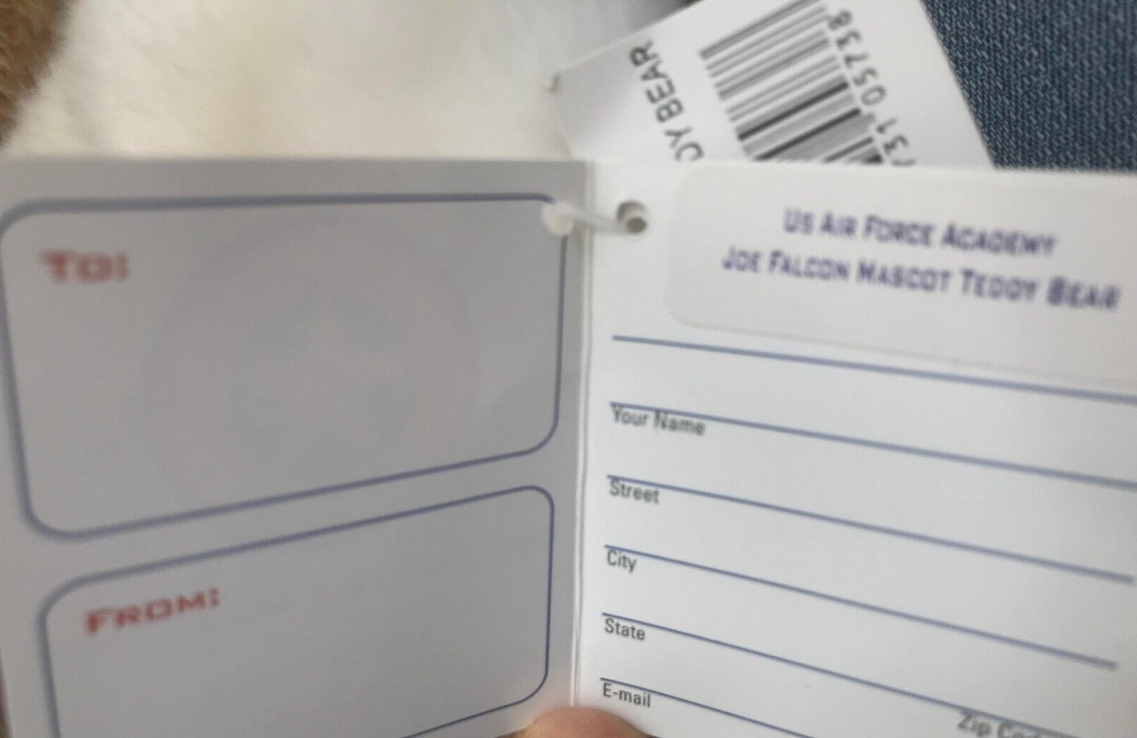 AIRFORCE ACADEMY MASCOT, FALCON / TEDDY BEAR | eBay