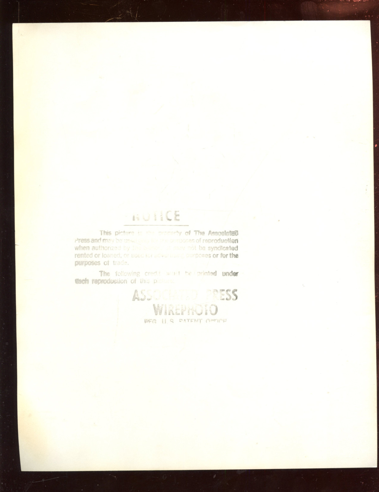 Original August 12 1965 Ted Williams & Wife Wire Photo | eBay