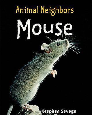 Mouse by Stephen Savage (2008, Trade Paperback) for sale online | eBay