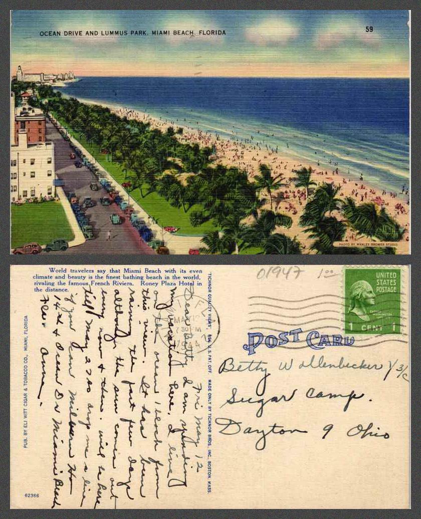 Vintage Miami Beach Postcards Miami United States Topographical