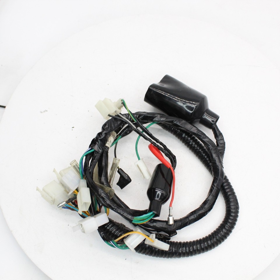 Misfit 250 Main Wire Harness PN P9A-23610-00-00 For Cleveland ...