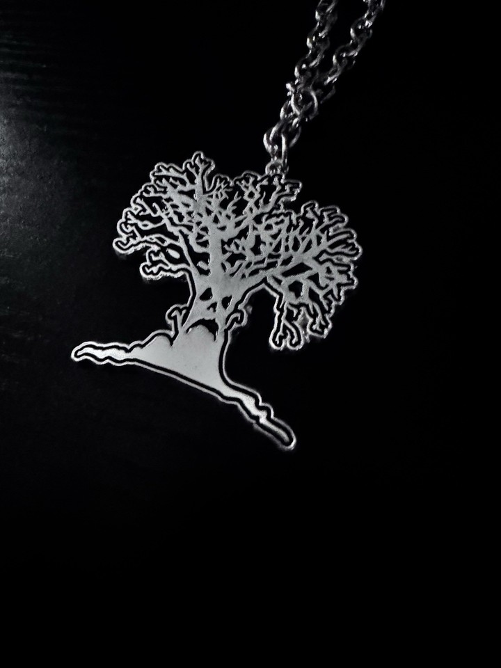 Haunted Mound Sematary Harold Chain Deaths Wagon Tour 2025 | eBay