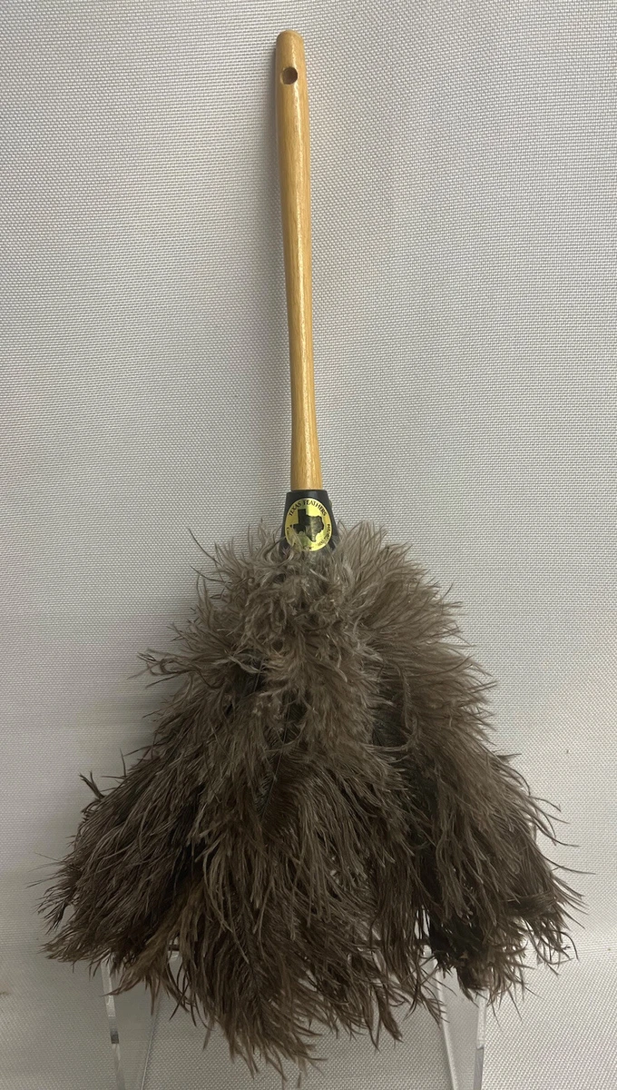 Feather Duster