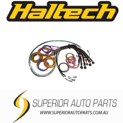 Haltech Nexus R5 Universal Wire-In harness- 5M (16') HT-185201 | eBay ...